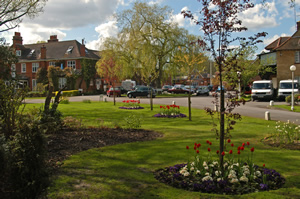 Snakes, Sports And Scholarships At Papplewick School Ascot